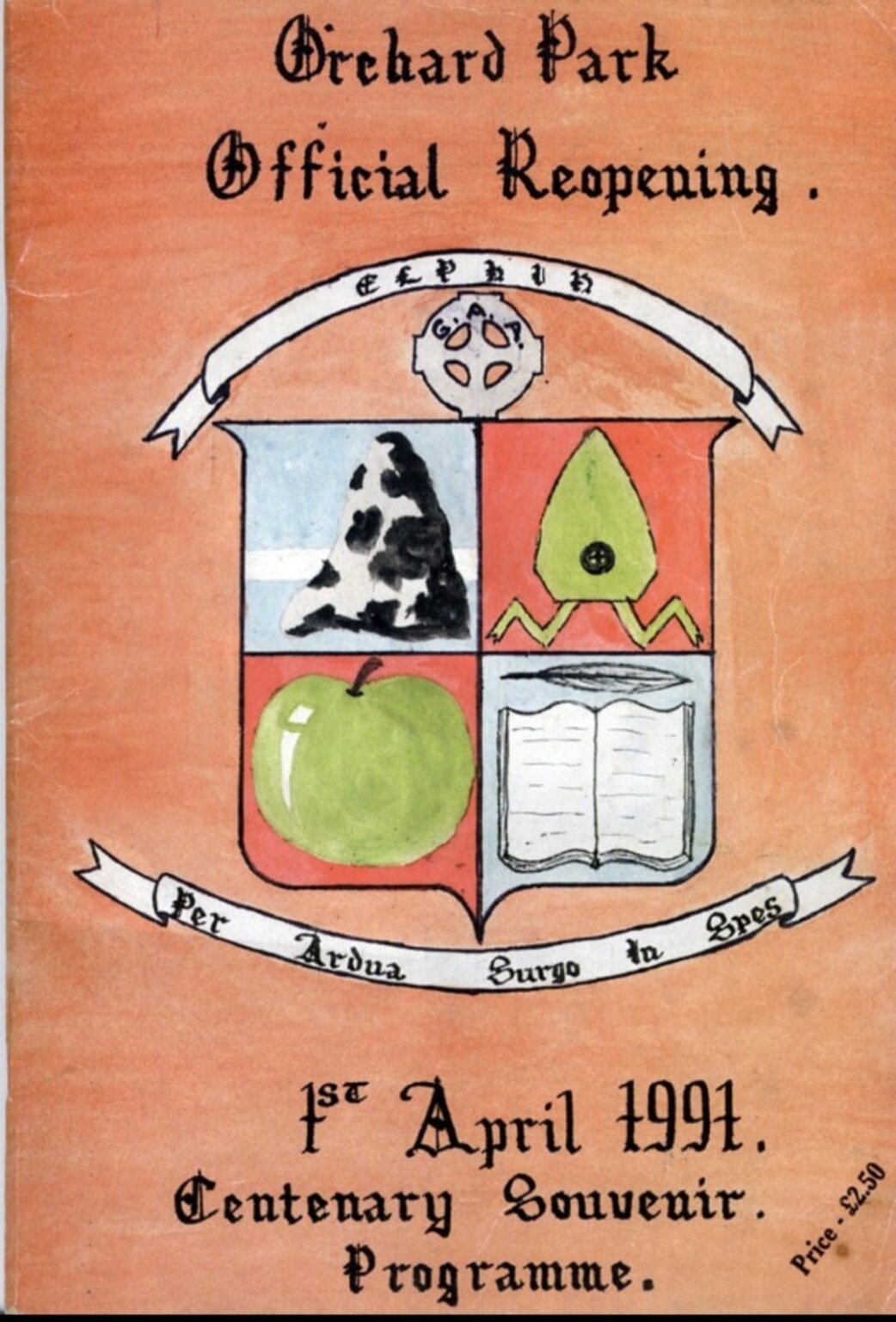 Orchard Park Re-Opening – Elphin GAA Club