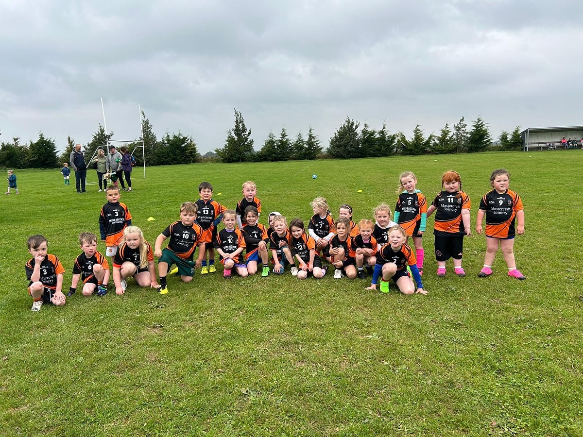 Elphin GAA Update September 23rd: Intermediate Team Reach Semi-Final ...